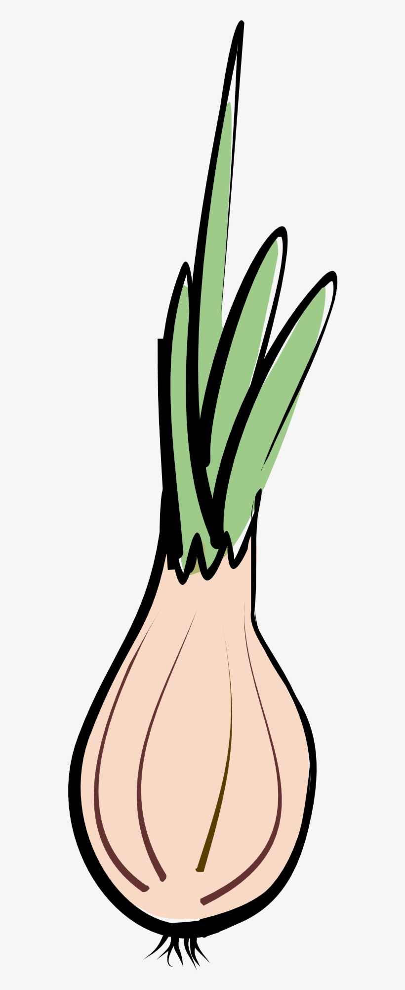 960 X 1920 2 - Chive Vector Transparent PNG - 960x1920 - Free Download ...