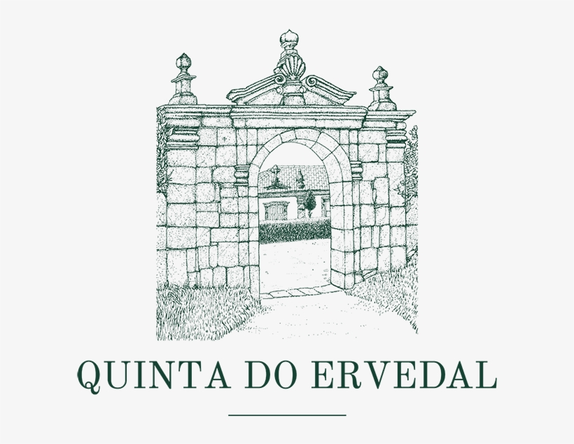 Logo Logo Logo Logo - Technical Drawing Transparent PNG - 600x554 ...