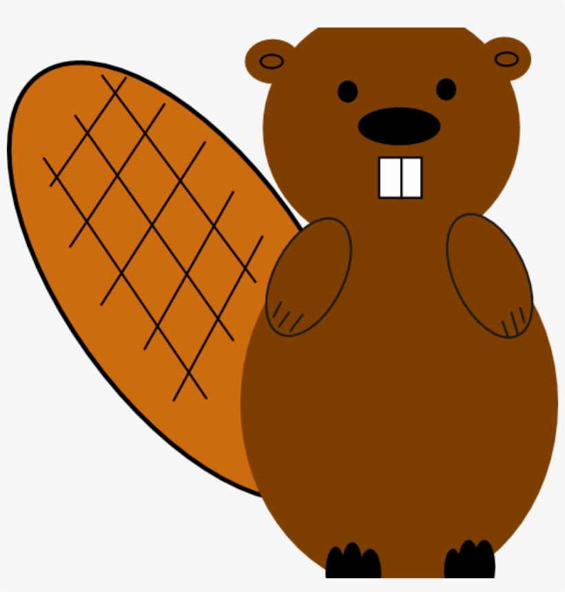 Clipart Beaver Beaver No Smile Clip Art At Clker Vector - Teddy Bear ...