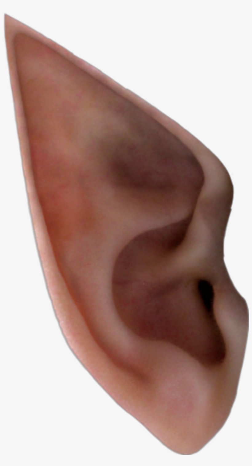 Elf Ear Template Printable