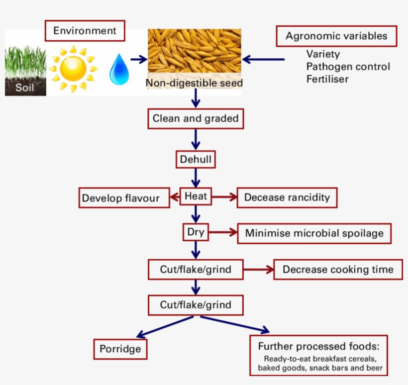 A Flow Diagram Showing The Production Of Oats On The - Oat Milling Flow ...