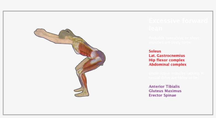 Untitled2 - Overhead Squat Forward Lean Transparent PNG - 900x450 ...