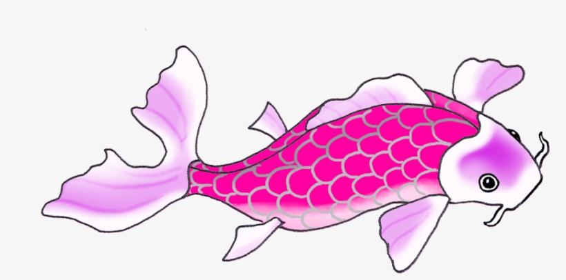 Colorful Koi Drawings Lila Drawing - Koi Transparent PNG - 1004x532 ...