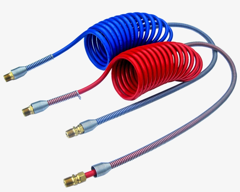 Suzi Coil Long E10746 Transparent PNG - 1000x1000 - Free Download on ...