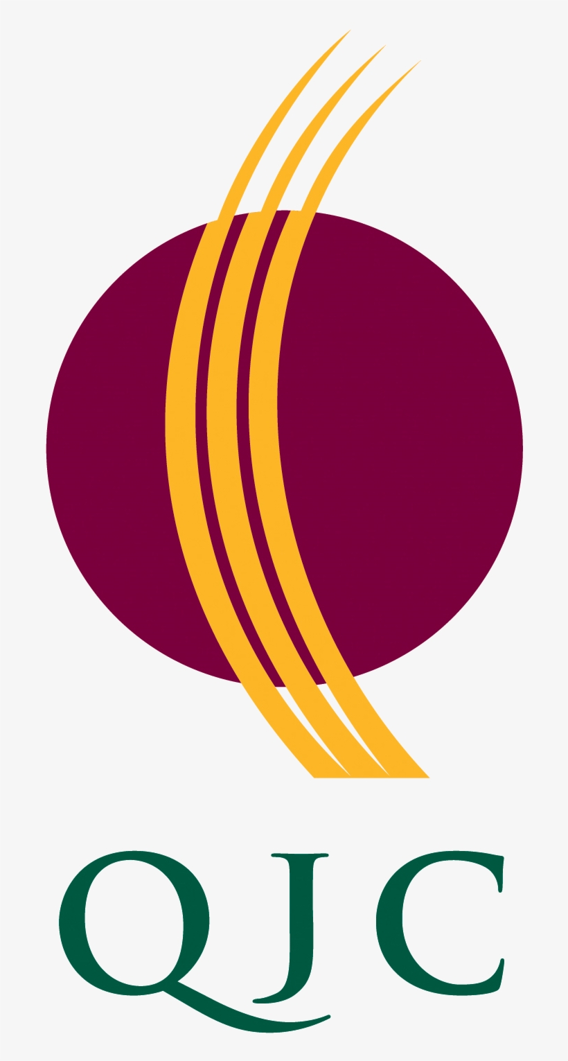 News - Queensland Cricket Team Transparent PNG - 827x1535 - Free ...
