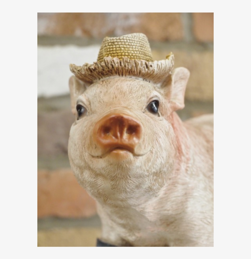 Pig Nose Png Transparent PNG - 1152x768 - Free Download on NicePNG