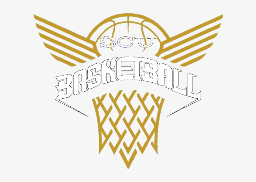 Storm Basketball Logo Transparent PNG - 640x601 - Free Download on NicePNG