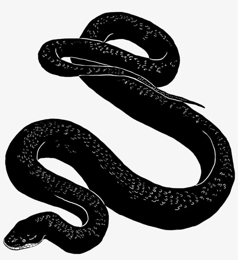 2500 X 2500 14 - Black Snake Png Transparent PNG - 2500x2500 - Free ...