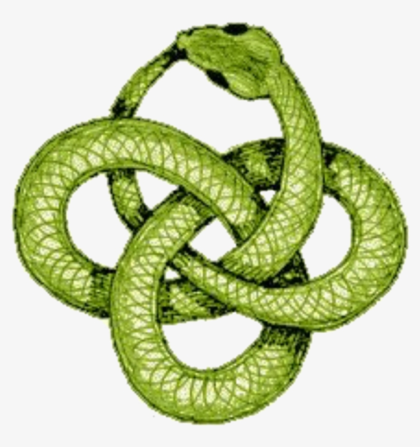 Green Snake Png Transparent PNG - 1024x1024 - Free Download on NicePNG
