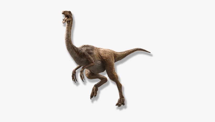 Gallimimus - Gallimimus De Jurassic Park Transparent PNG - 350x384 ...