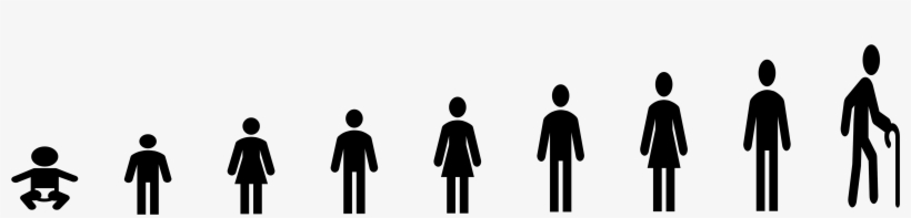 Life Stages For Blog - Human Life Stages Png Transparent PNG ...