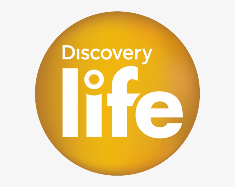 Discovery Life Logo Png Transparent PNG - 575x575 - Free Download on ...