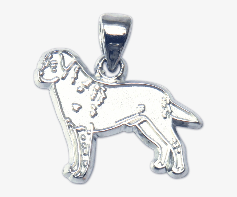 Labrador Retriever Pendant - Locket Transparent PNG - 600x600 - Free ...