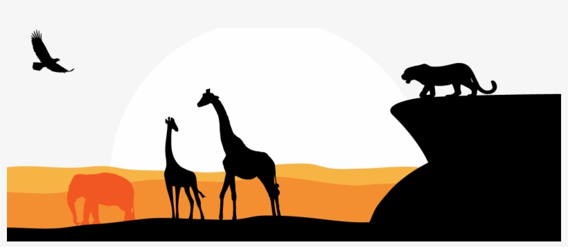 African Animal Border