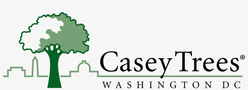 Casey Trees Transparent PNG - 3600x1800 - Free Download on NicePNG