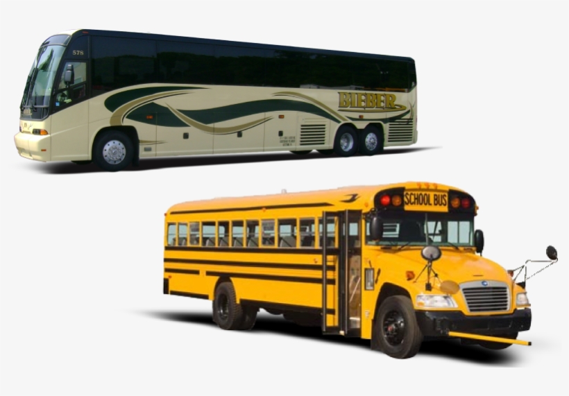 Bus - Blue Bird Transparent PNG - 800x508 - Free Download on NicePNG