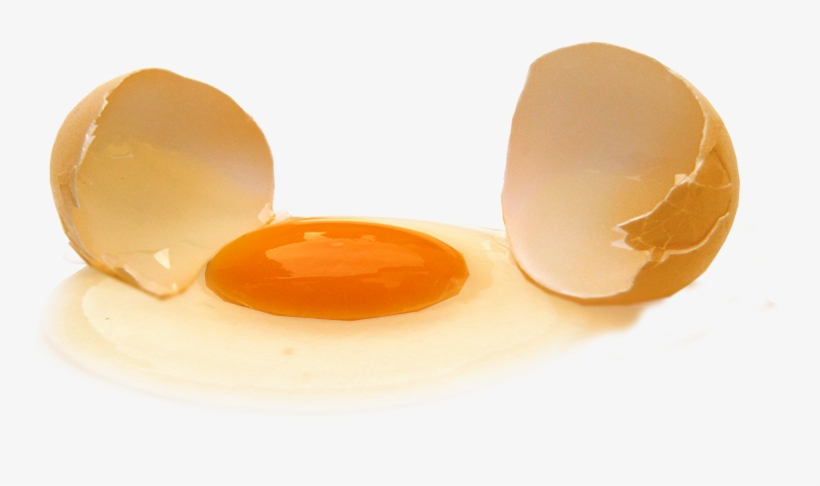 Poiata Bunicii - Cracked Egg Transparent PNG - 831x454 - Free Download ...