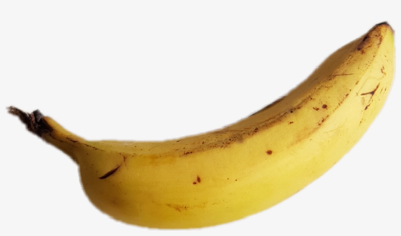 Saba Banana Transparent PNG - 885x480 - Free Download on NicePNG