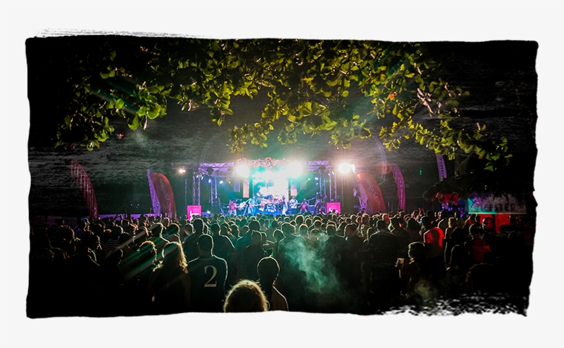 Beach Parties & Reggae Concert - Crowd Transparent PNG - 750x434 - Free ...