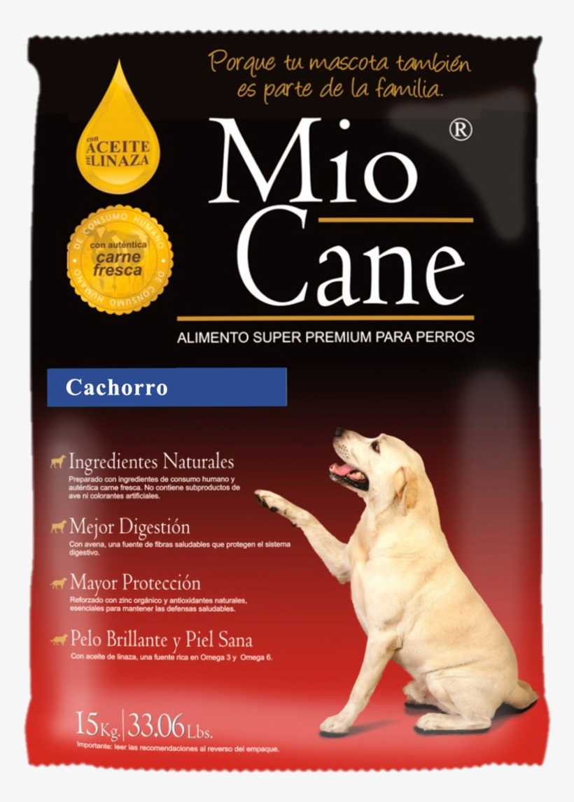 Mio Cane Cachorro Png - Companion Dog Transparent PNG - 976x1277 - Free ...
