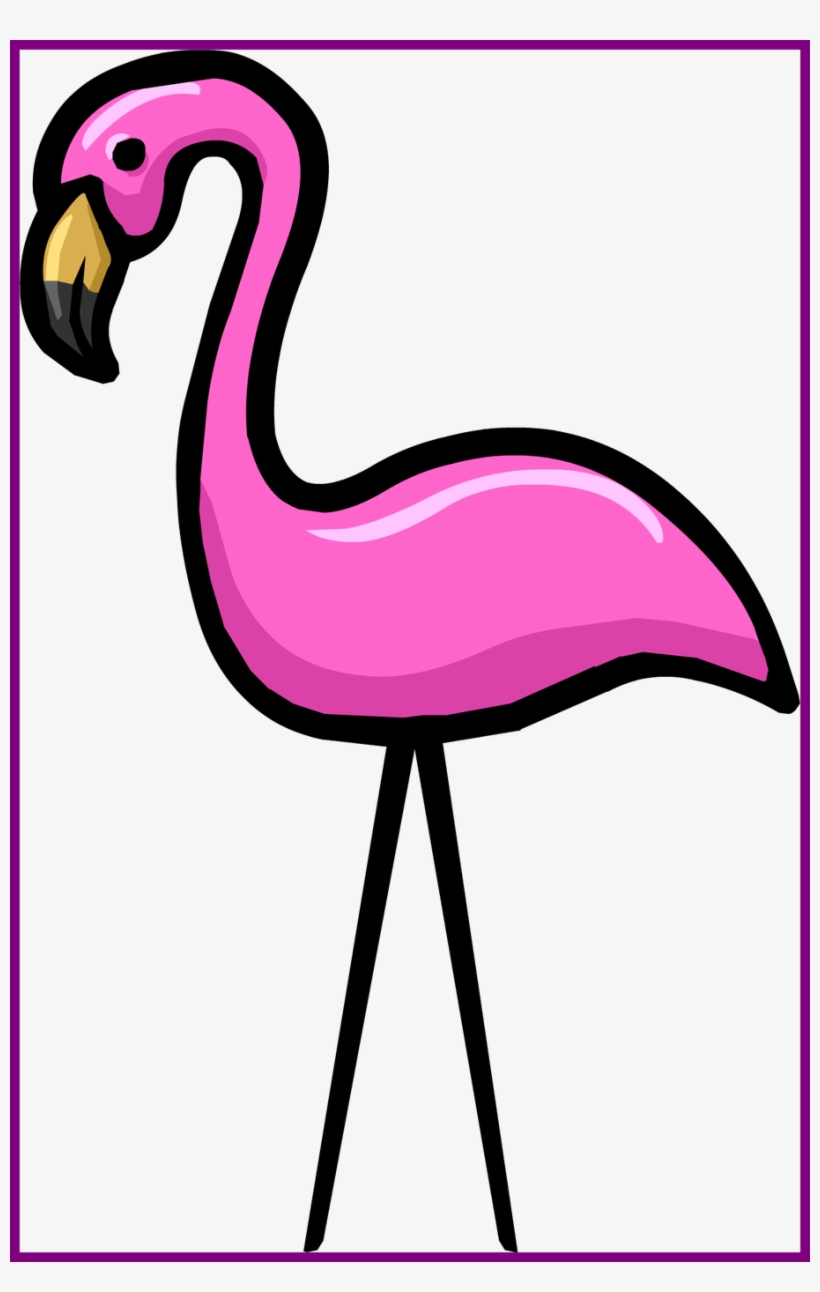Pink Flamingos Cartoon