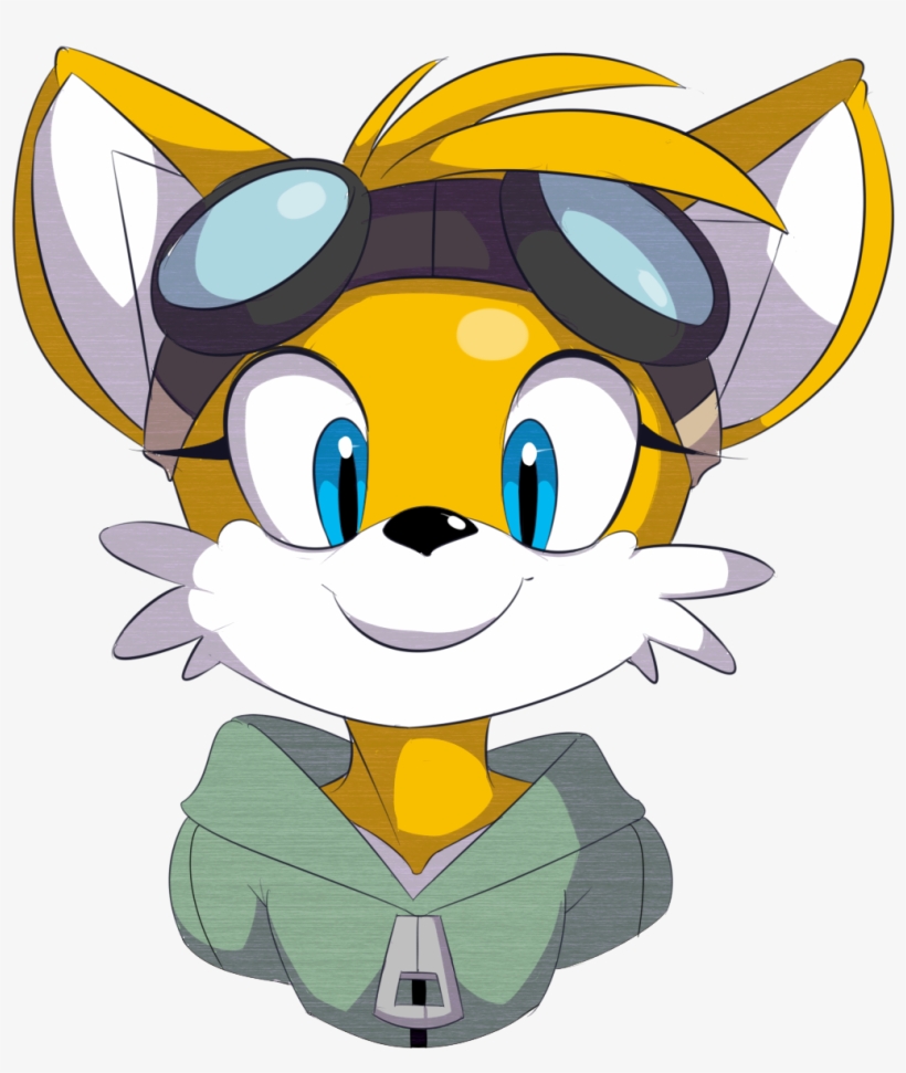 Tails Stupid Cute Face - Cartoon Transparent PNG - 1174x1225 - Free ...
