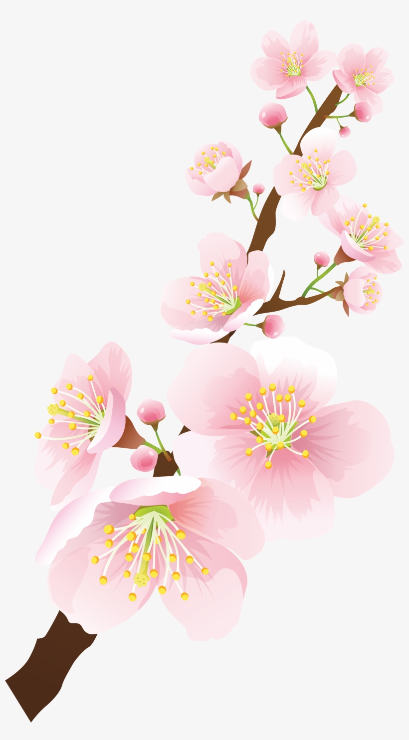 View Full Size - Clip Art Transparent PNG - 4573x8000 - Free Download ...