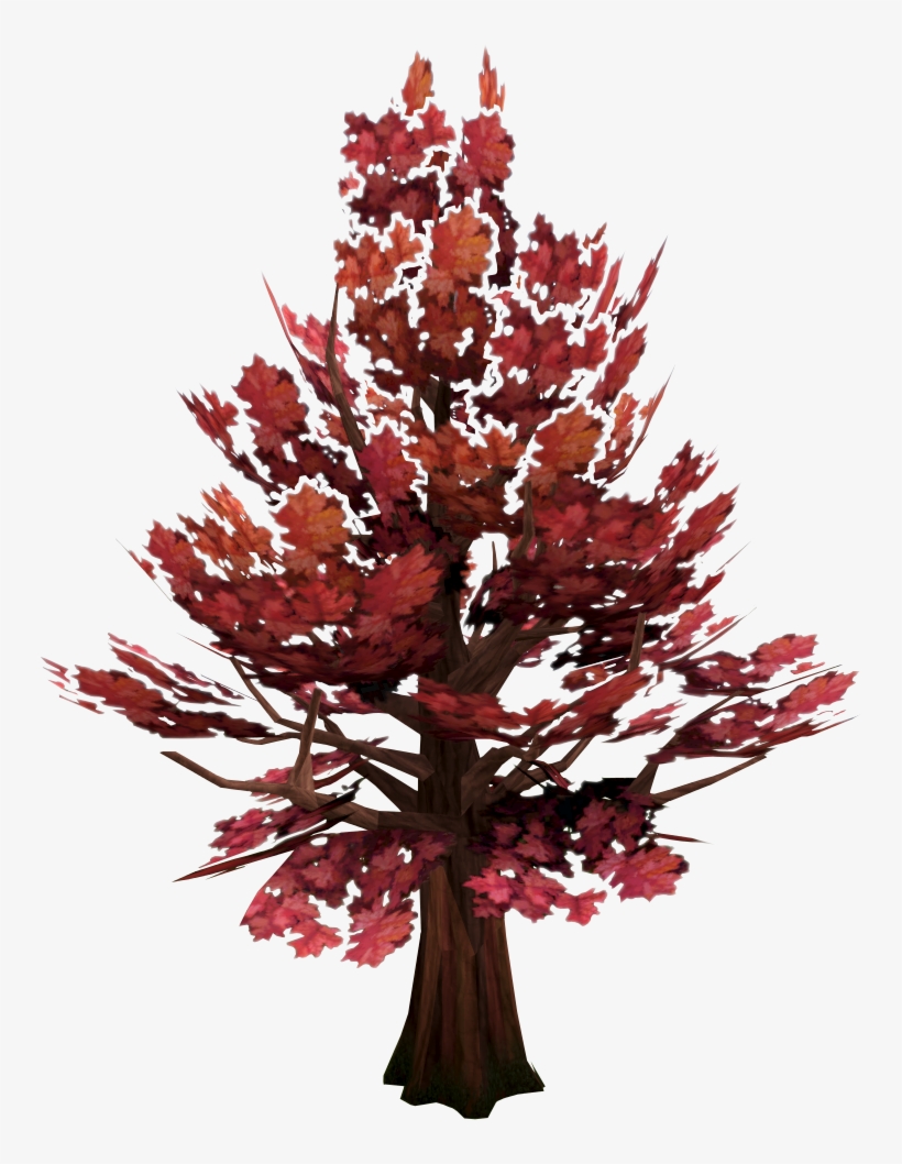Transparent Tree Maple - Maple Tree Png Transparent PNG - 748x978 ...