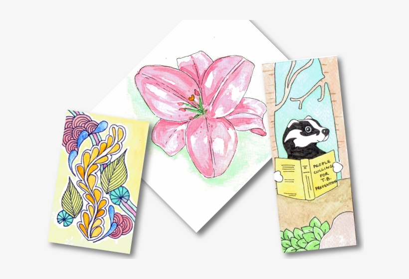 Also - Lily Transparent PNG - 640x480 - Free Download on NicePNG