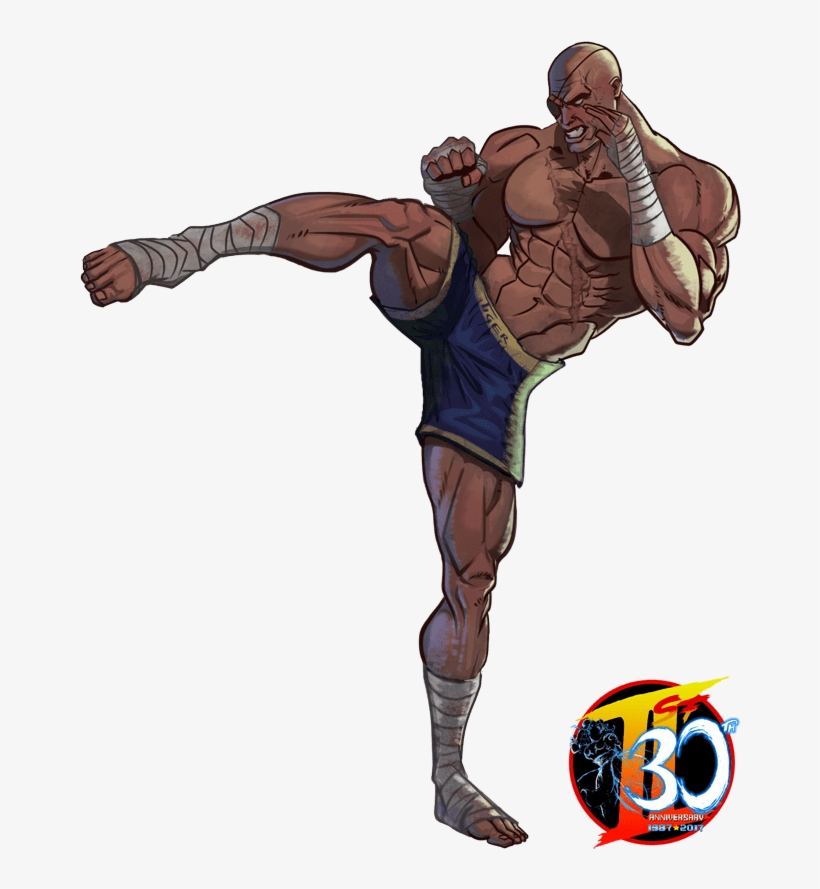 Sagat By Androsm - Sagat Street Fighter Kick Transparent PNG - 705x831 ...