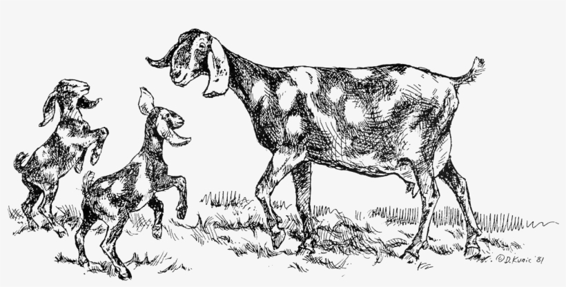 Living With Dairy Goats - Cartoon Transparent PNG - 1280x608 - Free ...