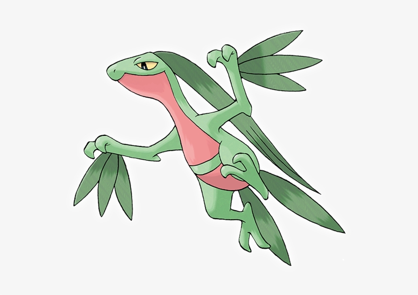 Pokemon Grovyle Transparent PNG - 630x630 - Free Download on NicePNG