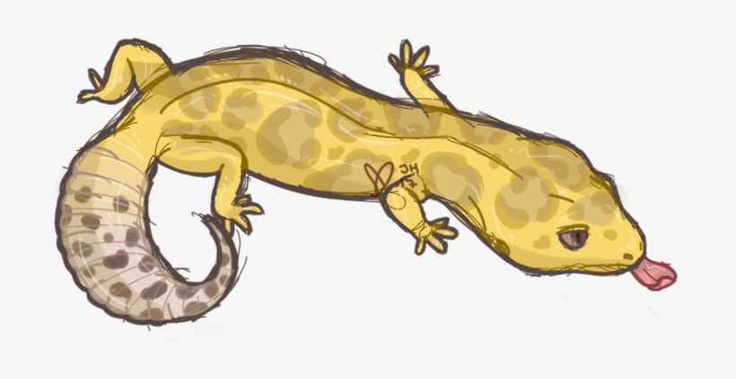 “there's A Small Chance I Might Be Getting A Leopard - Leopard Gecko ...