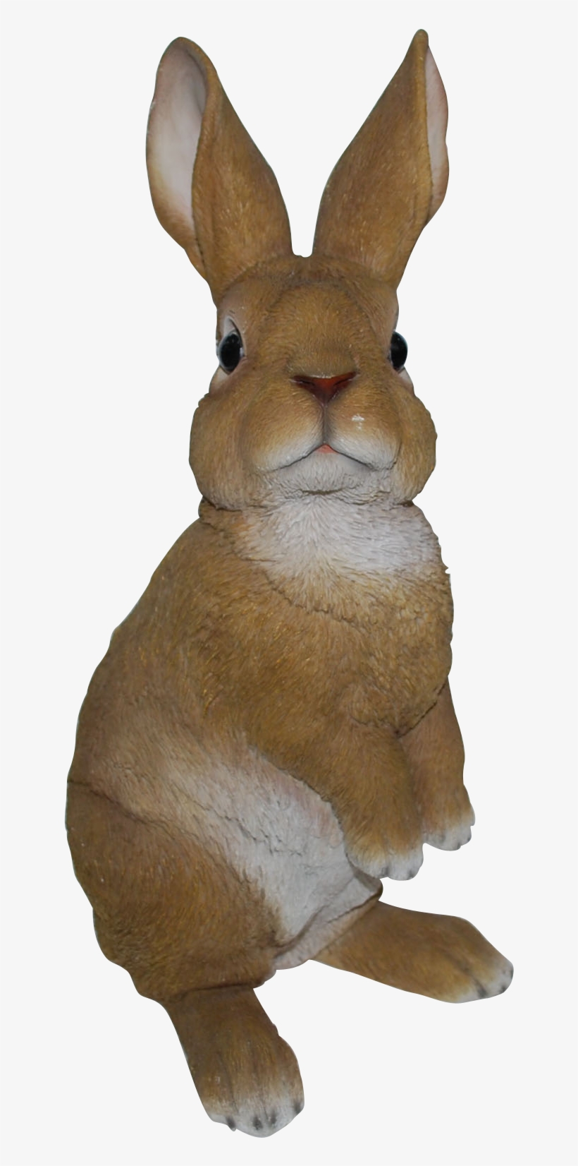 Rabbit Standing Png Transparent PNG - 1182x1752 - Free Download on NicePNG