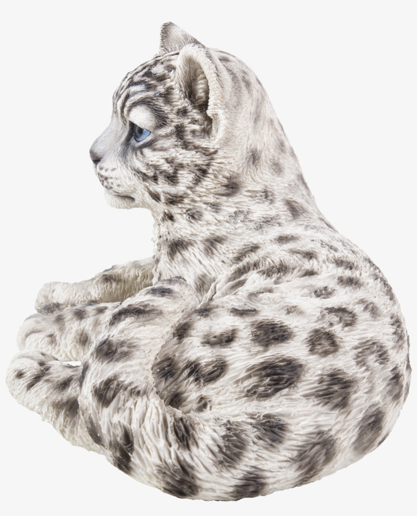 Snow Leopard Transparent PNG - 2781x3262 - Free Download on NicePNG