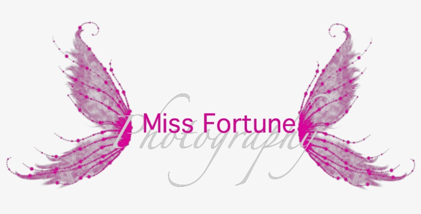 Intro - - Illustration Transparent PNG - 837x558 - Free Download on NicePNG