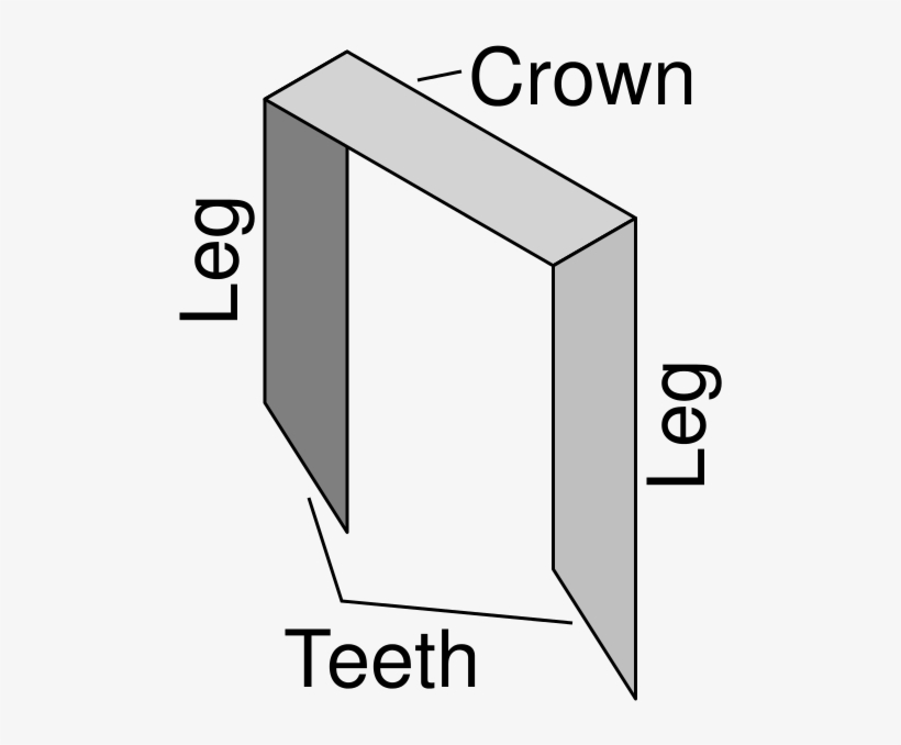 Basic Staple Diagram - Measure A Staple Transparent PNG - 510x615 ...