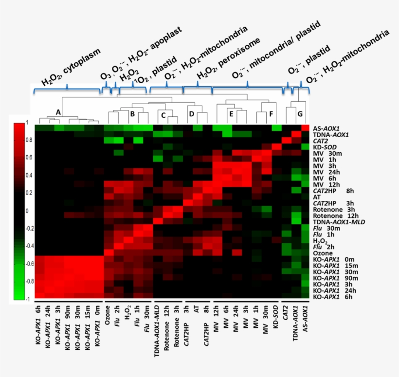 Heat - Number Transparent PNG - 807x744 - Free Download on NicePNG