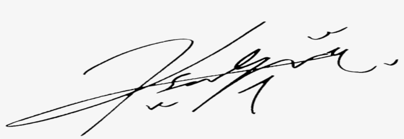 Download Random Signature Png - Line Art - HD Transparent PNG - NicePNG.com