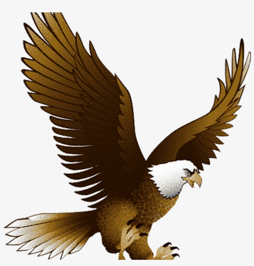 Eagle Clipart Bald Eagle Clipart School Clipart - Eagle Png Transparent ...