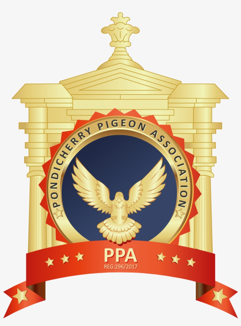 Main Logo - Design Transparent PNG - 900x1292 - Free Download on NicePNG