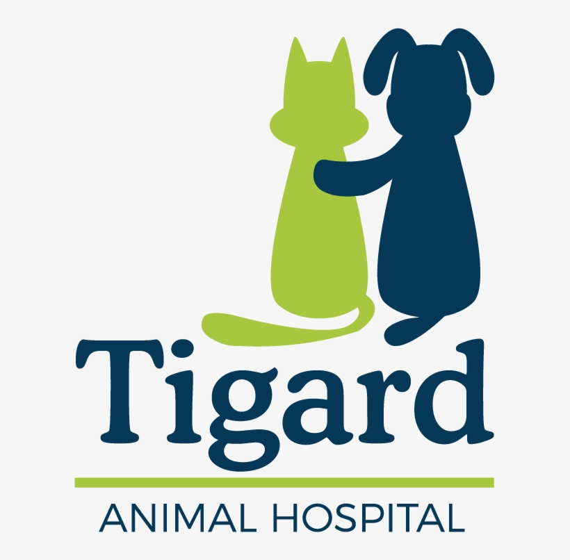 Tigard Animal Hospital - Cartoon Transparent PNG - 605x726 - Free ...