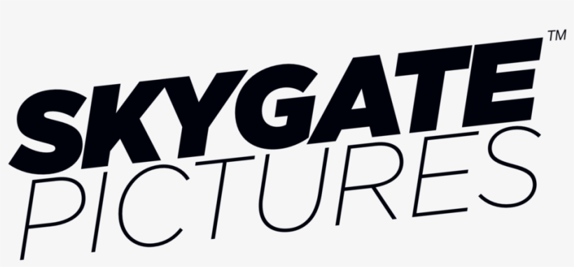 Skygate-logo Transparent PNG - 1000x563 - Free Download on NicePNG