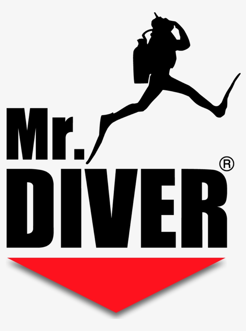 Logo Diving Transparent PNG - 1024x1024 - Free Download on NicePNG