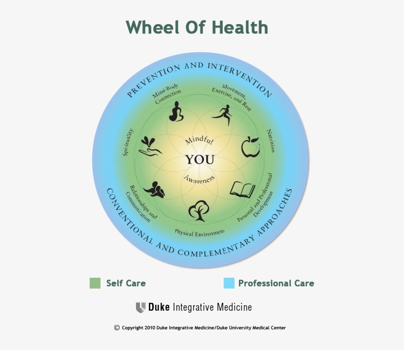 Wheel Of Health Transparent PNG - 486x671 - Free Download on NicePNG