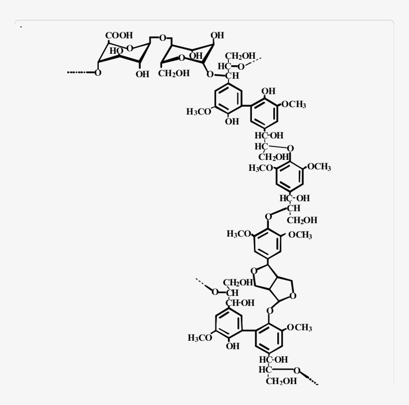 A Typical Partial Structure Of The Lcc Obtained From - Diagram ...