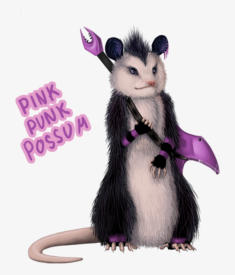 Possum Png - Possum Punk Transparent PNG - 814x981 - Free Download on ...