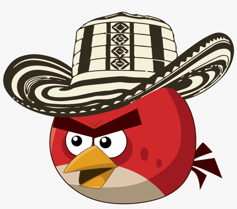 Birds - Sombrero Vueltiao Caricatura Transparent PNG - 1400x1183 - Free ...