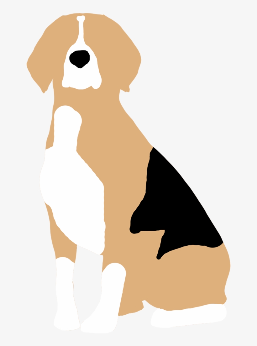 Beagle Transparent PNG - 1000x1142 - Free Download on NicePNG