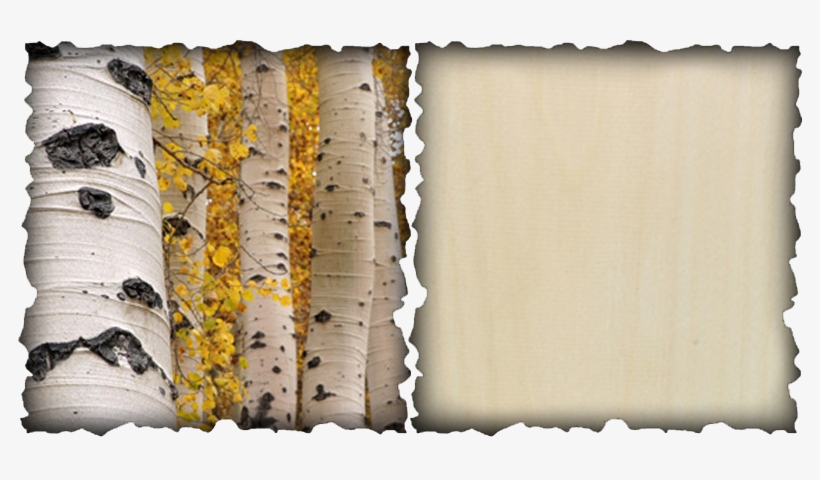 Divination, Communication, Eloquence, Intuition, Meditation, - Aspen ...